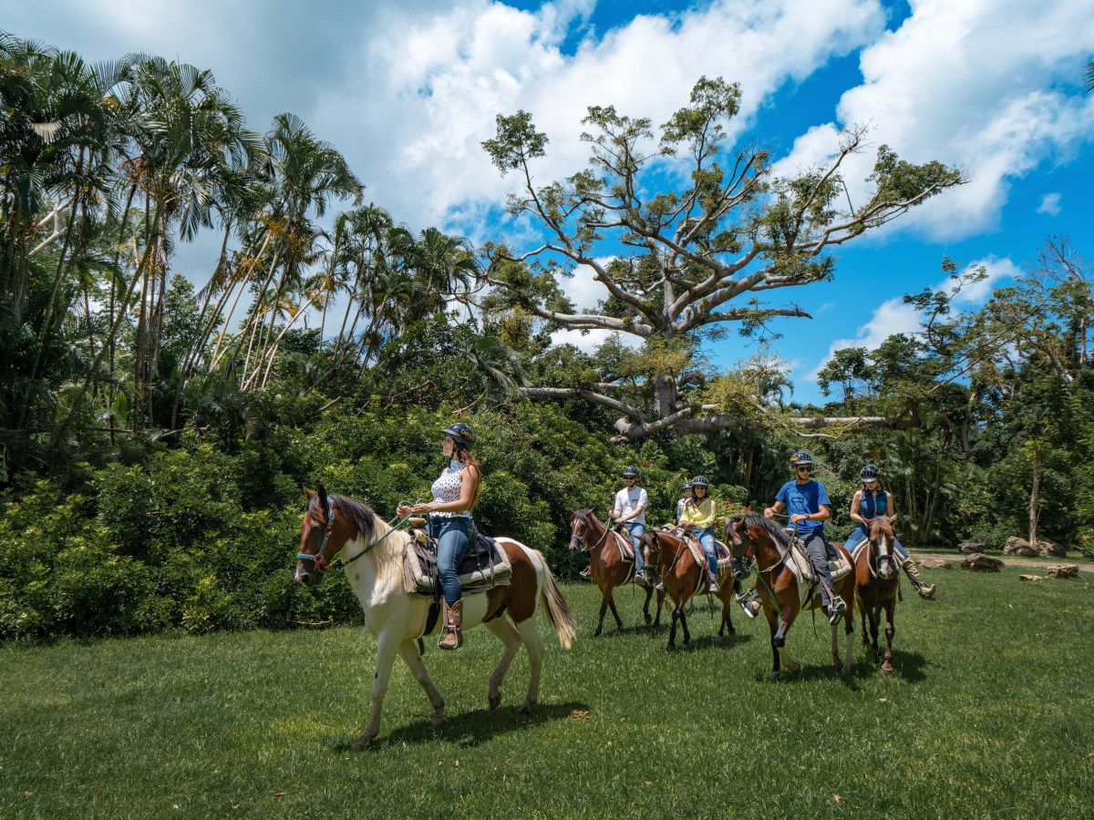 Horseback Riding Puerto Rico | Carabali Rainforest Adventure Park