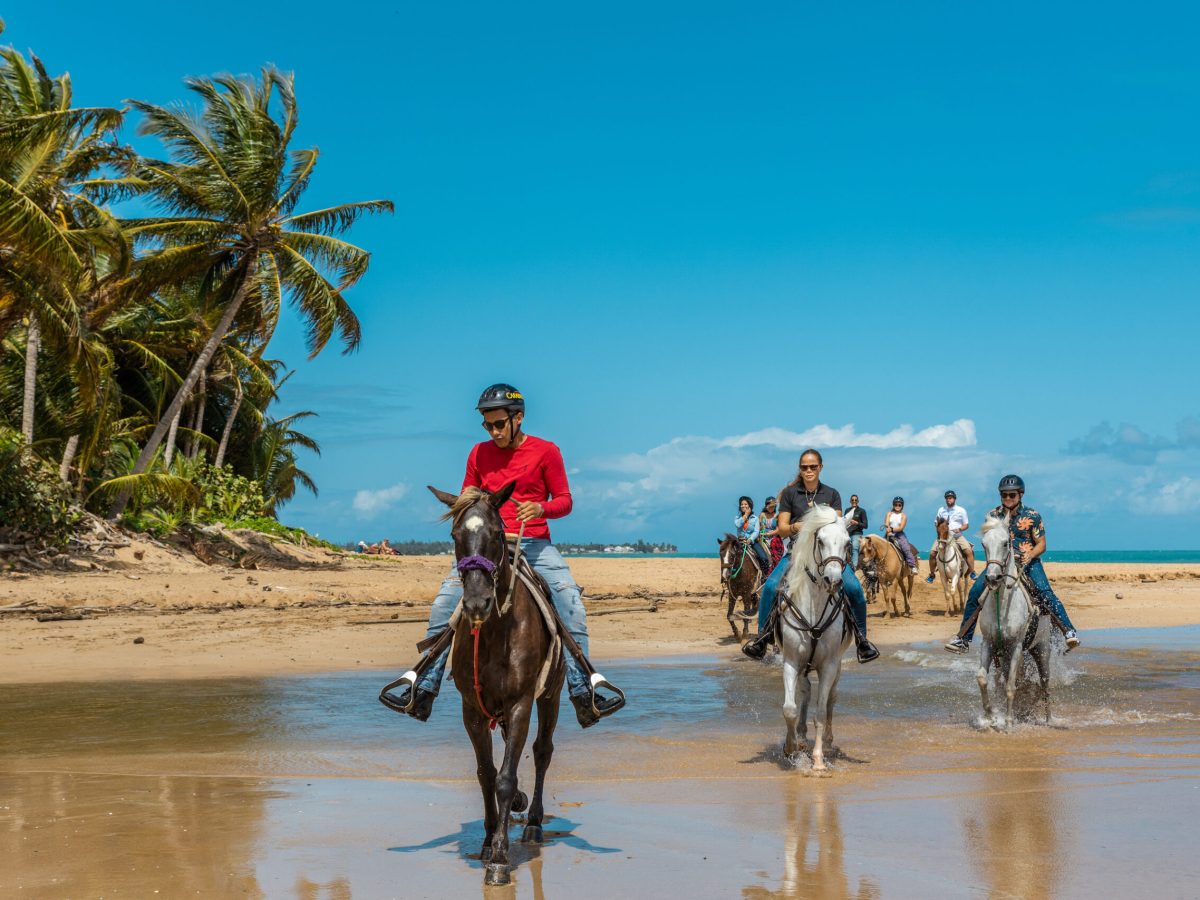 Horseback Riding to the Beach in Puerto Rico | Carabali Rainforest ...